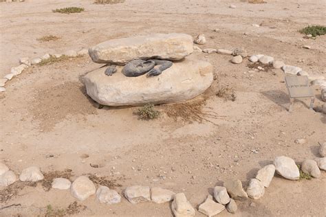 גן הפסלים בחצר הבית הלבן במשבצת ניר עוז עמירם במשעולי ישראל