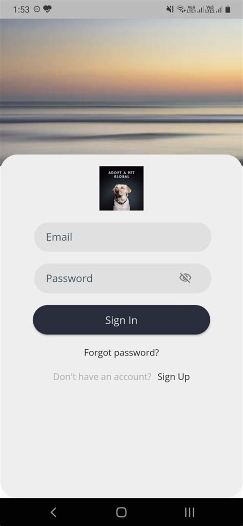 Create A Mobile Application Using Flutter And Firebase By