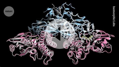 Alphafold 3 0 The Ai Protein Predictor Gets An Upgrade Lifeboat News