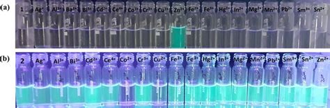 Naked eye observation under UV light nm Probe µM in Download Scientific Diagram
