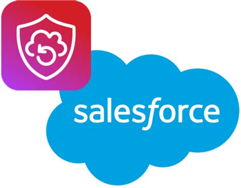 Weve Got Backup Recovery And Archiving For Your Salesforce Data In