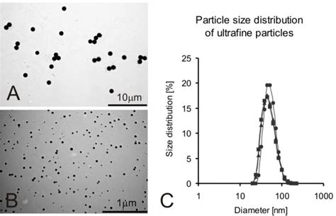 Particle Size Characteristics Particles Were Visualized By Download Scientific Diagram