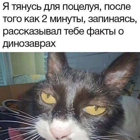 ﻿Я тянусь для поцелуя после того как 2 минуты запинаясь рассказывал тебе факты о динозаврах