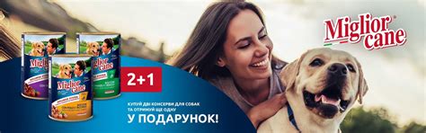 Зоотовары, товары для животных. Зоомагазин Рыжий Кот