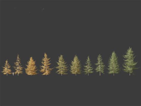 Artstation Larix Decidua European Larch Resources
