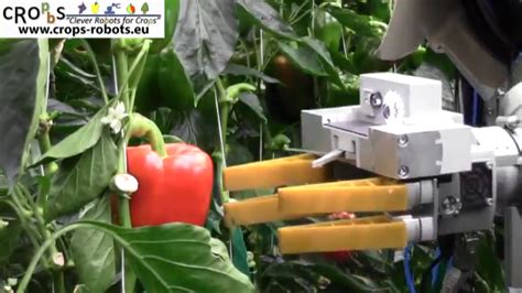 작물 수확하는 로봇~