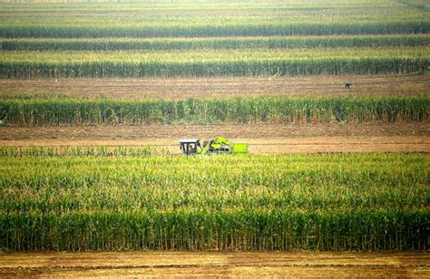 For China Corn Farmers Prices Trump Policy Ahead Of Planting Farmtario