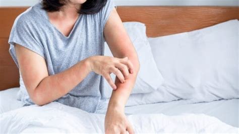 15 Scents Bed Bugs Hate—and How To Use Them