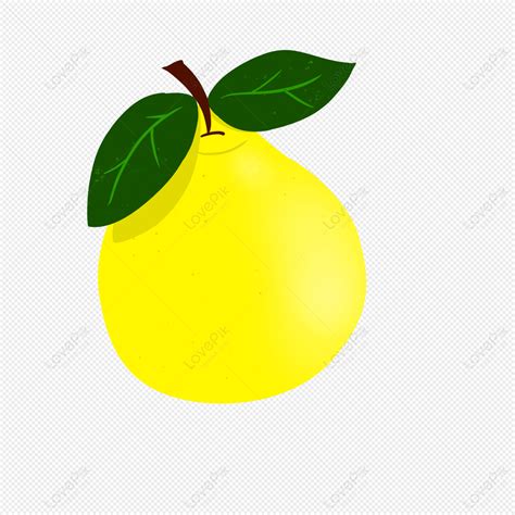 큰 노란 유자 Png 일러스트 무료 다운로드 Lovepik