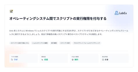 オペレーティングシステム間でスクリプトの実行権限を付与する Labex