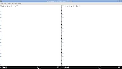 Linux World Splitting Window In VI Editor