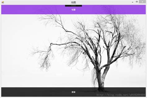 winform wpf 窗体混合显示 wpf同时显示界面和代码 csdn博客