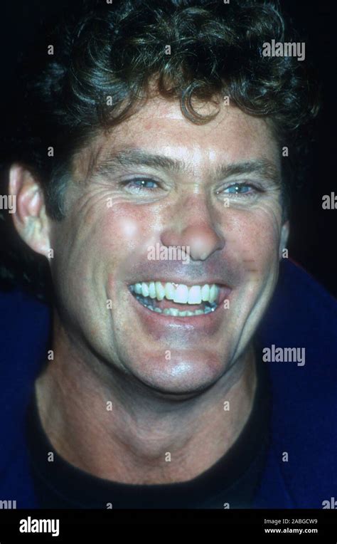 David Michael Hasselhoff Banque De Photographies Et Dimages à Haute Résolution Alamy