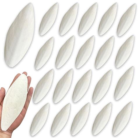 20 Pcs Bird Cuttlebone For Parakeets 4 7 5 7 Cuttlebone For Birds