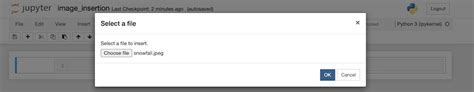 在 Jupyter Notebook 中插入图像 码农参考