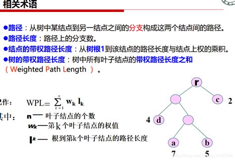 数据结构 第六章 树和二叉树 知识梳理 二叉树是度最大为 的有序树 CSDN博客