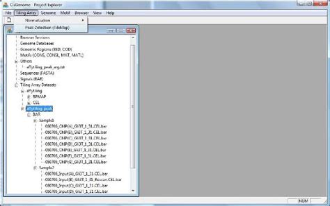 Tiling Array Analysis 2