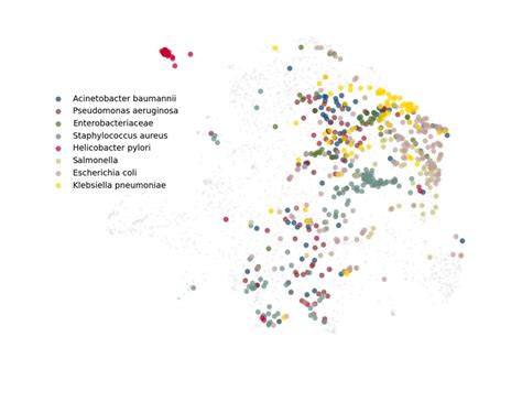 The Composite Umap Uniform Manifold Approximation And Projection Of Download Scientific