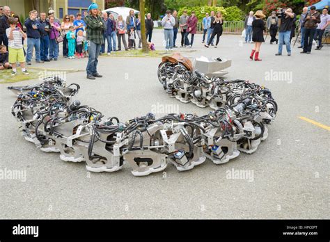 Titanoboa An Electromecanical Serpent Made Up Of 20 Aluminum Vertebrae