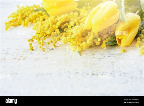 Mimosa And Tulip Spring Flowers Easter Or Passover Seder White Wooden