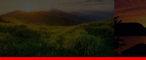 Javascript Owl Carousel2 Image Not Displaying Full Width When Using Stretch Row And Content