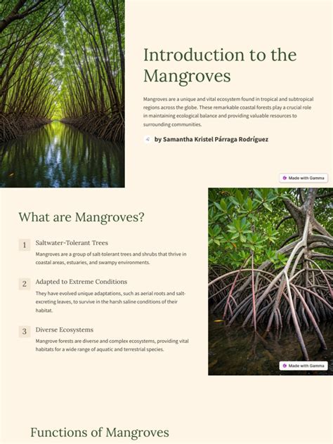 Understanding Mangrove Ecosystems Pdf Mangrove Habitat