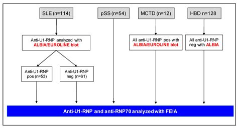Doubtful Clinical Value Of Subtyping Anti U1 Rnp Antibodies Regarding