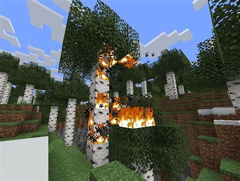 Fire In Minecraft