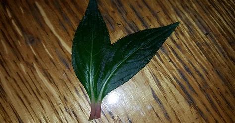 Doublesingle Imgur Doublesingle Imgur