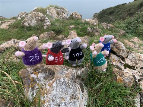 Cosy Crochet Mouse • Made By Mums