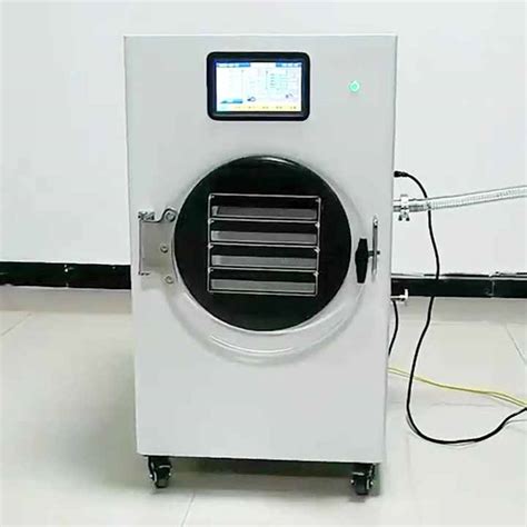 Candy Vacuum Drying Liofilizador Small Home Dry Mini Machine Freeze Dryer Freezing Equipment For