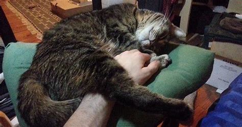 I Have Been Trapped Here For The Last 5 Days I Am Running Out Of Food