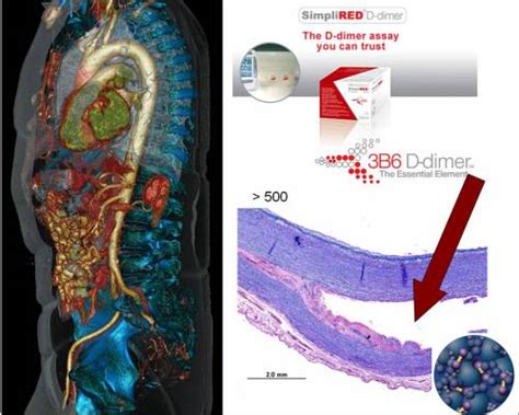 19 January 2009 Drsvenkatesan Md