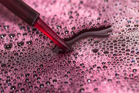 Extracting Color And Tannins A Deep Dive Into Punching Down And Pumping Over Bernard Marrs