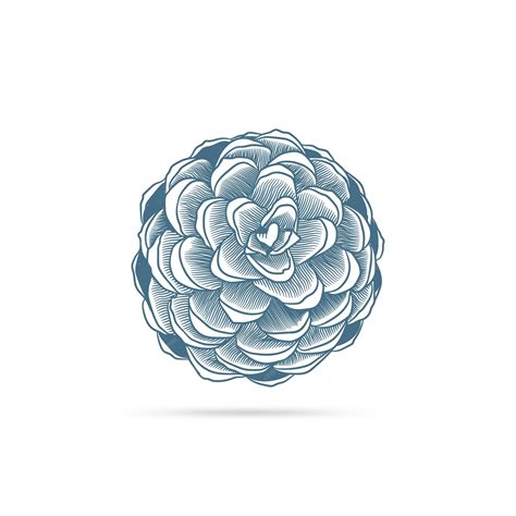 Premium Vector Pine Cone Vector Elements Design Elements Design With Brush Line Style For