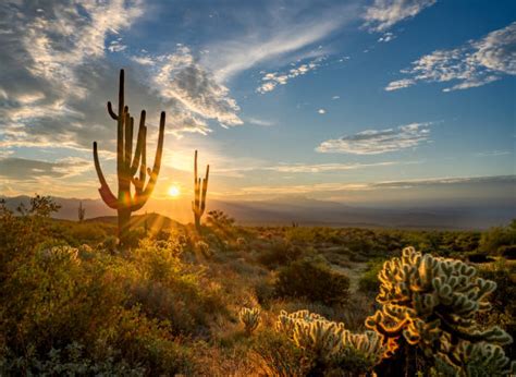 Desert Mountains Sunrise