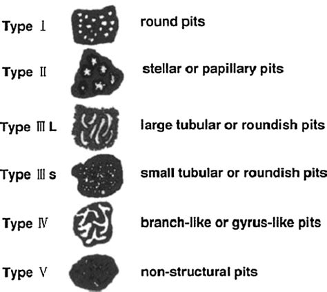 Current Status Of Chromoendoscopy And Narrow Band Imaging In