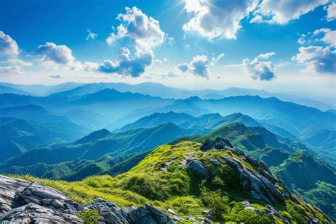 森林大山图片 森林大山照片 森林大山作品下载 设图网