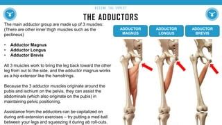 Human Body Functional Anatomy Pdf