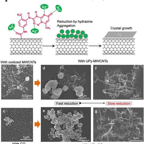 Pdf Synthesis Of Nanobelt Like 1 Dimensional Silvernanocarbon Hybrid Materials For Flexible