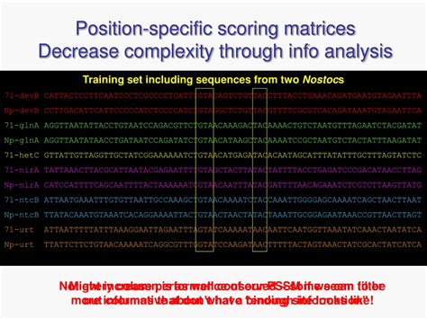 ppt position specific scoring matrices for decreased complexity