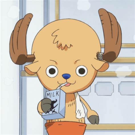 Chopper With No Hat Ronepiece