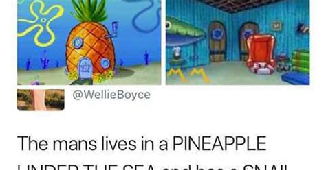 Spongebob Dump Album On Imgur