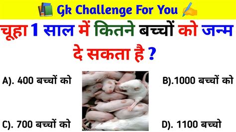 Brilliant Exam Gk Questions Facts Education Youtube