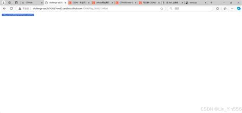 Ctfhub技能树网站源码ctfhub 网站源码 Csdn博客
