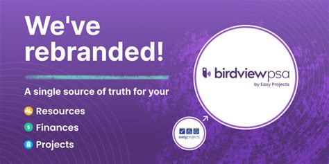 Introducing Birdview Psa Your Comprehensive Solution For Professional
