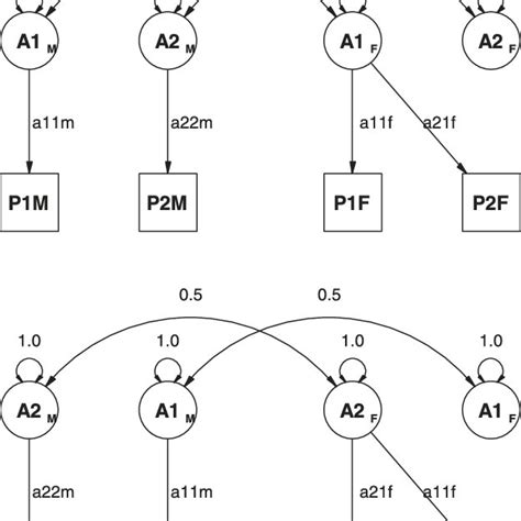 Path Diagrams For Hypothetical Results Of Model Fitting Of Two