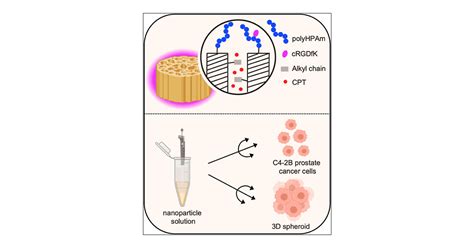 Differential Surface Engineering Generates Coreshell Porous Silicon