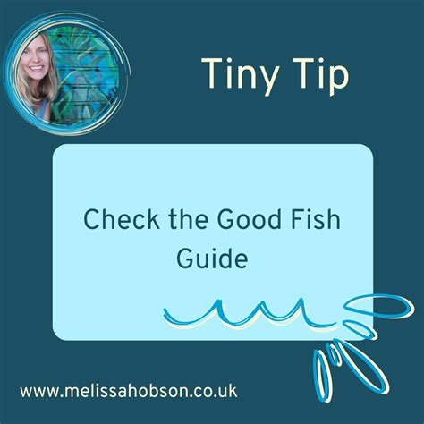 Tinytip Sustainability The Ocean Writer Ltd