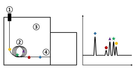 Gas Chromatography Animation Gas Chromatography Animation